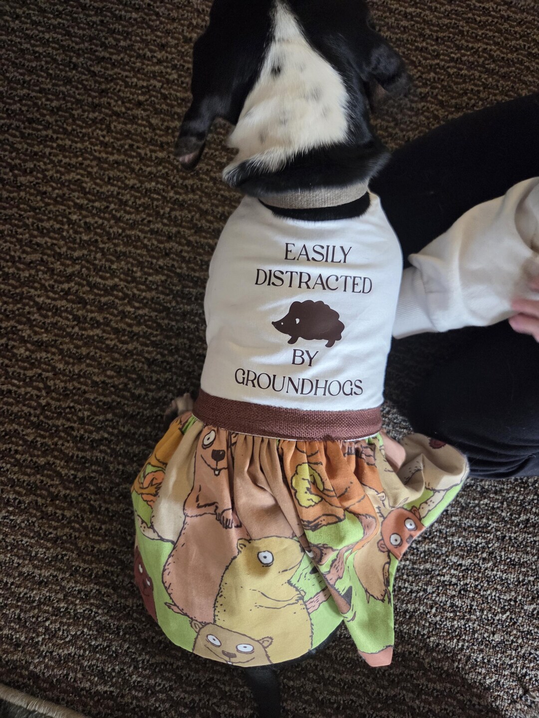 Ground Hog Day Dog Dress: Graphic Cotton Dress - Etsy
