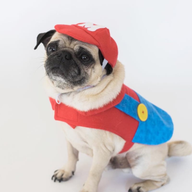Mario Dog Costume - Etsy