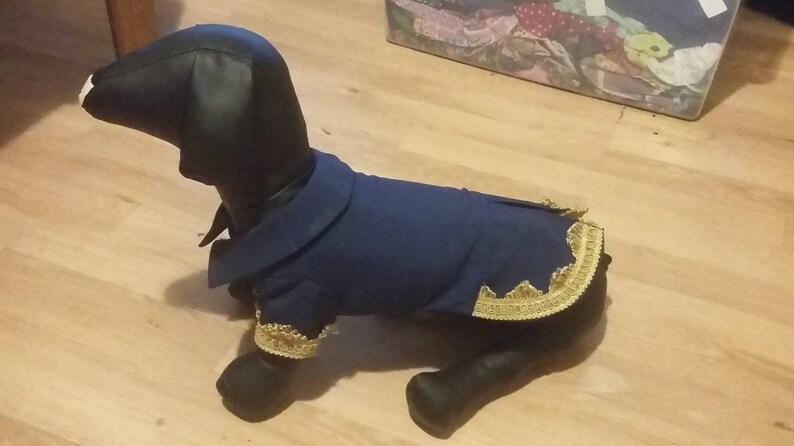 Beauty and the Beast Beast Dog Jacket Prince Dog Costume - Etsy