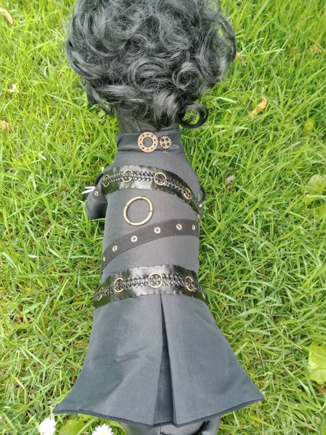 Edward Scissorhands Dog Costume: Leather Straps, Brass Rings ...
