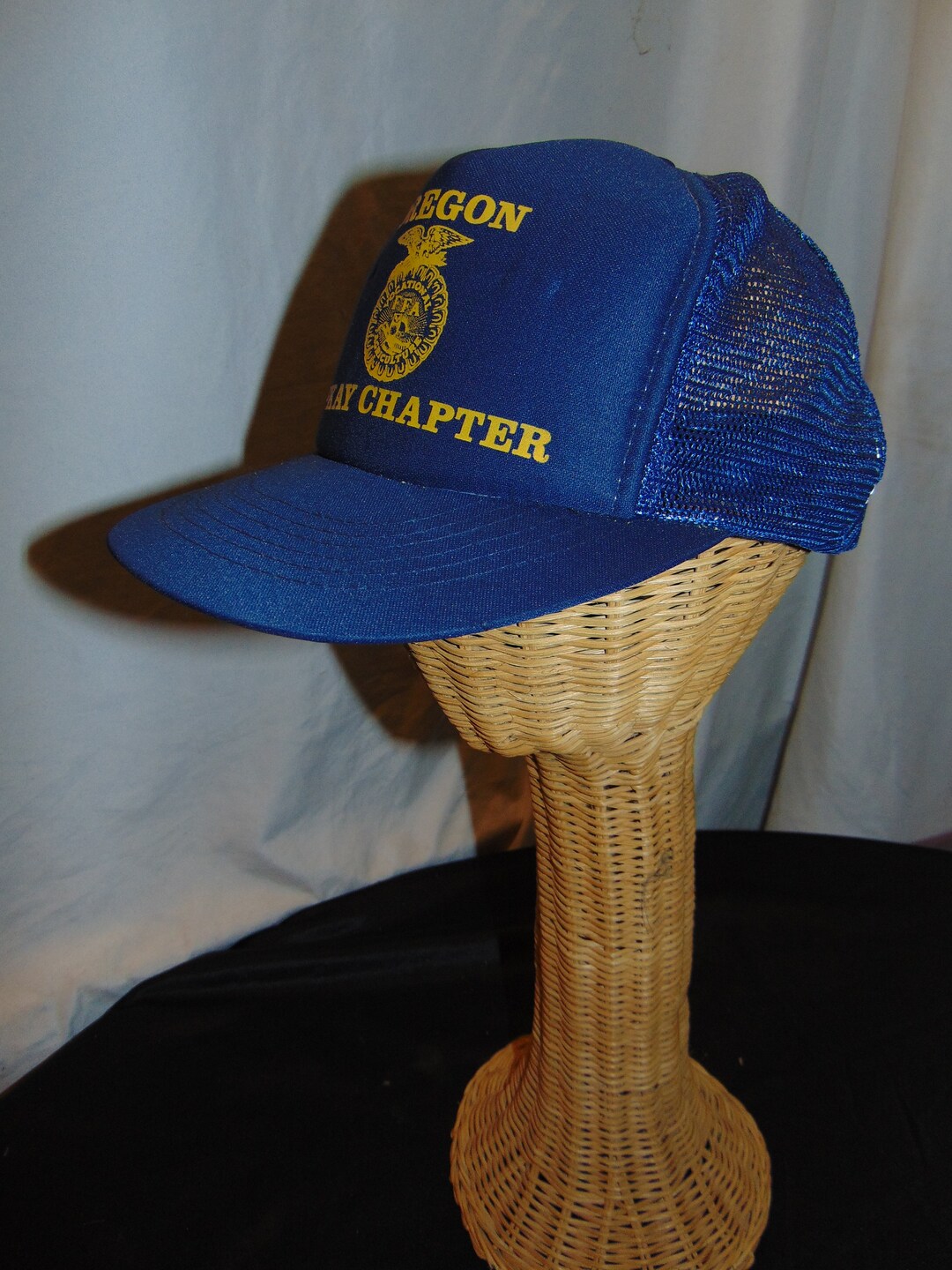 Vintage FFA Hat Foam Snapback Trucker Hat Oregon Chapter - Etsy
