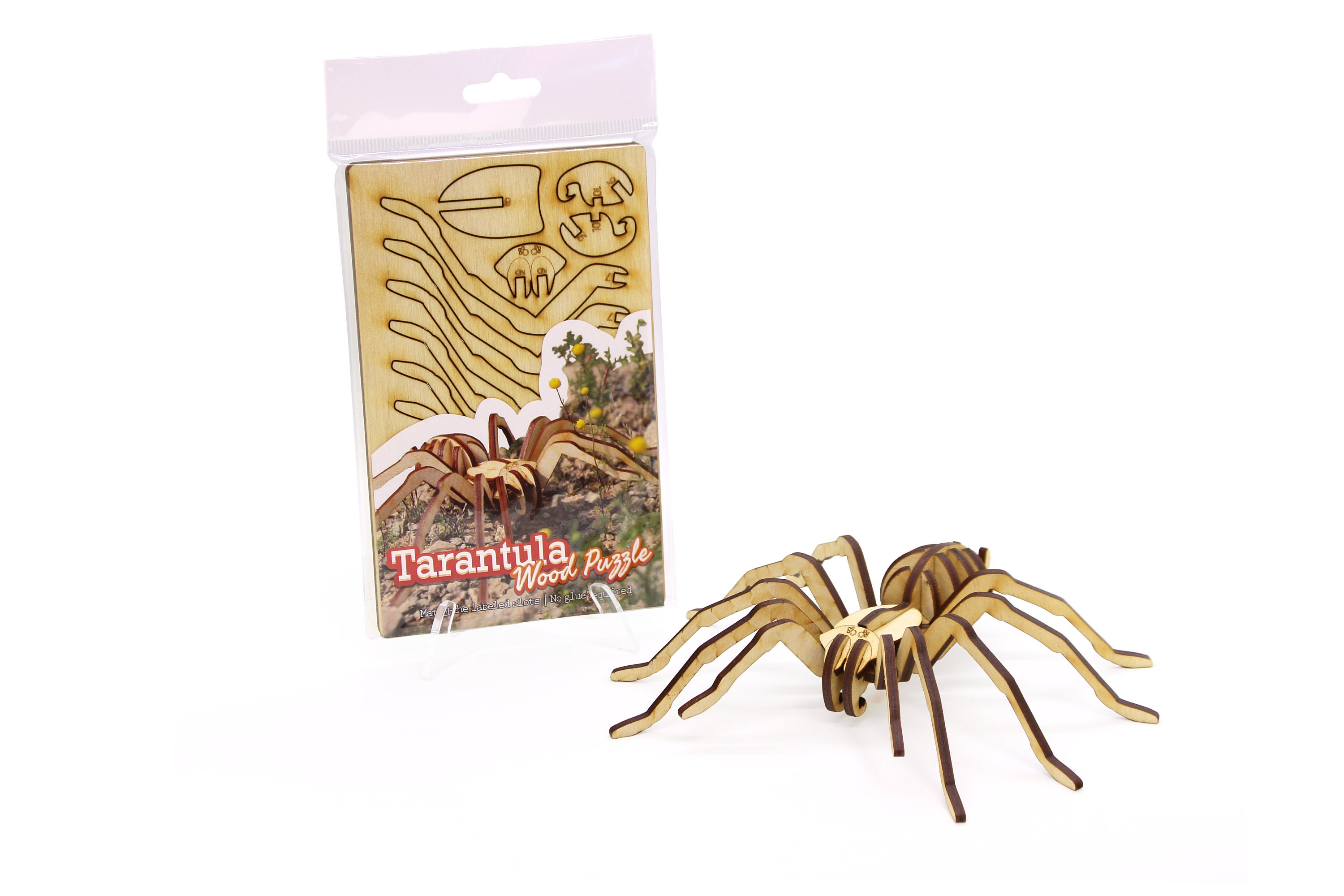 Tarantula 3D Wood Puzzle Kit - Etsy