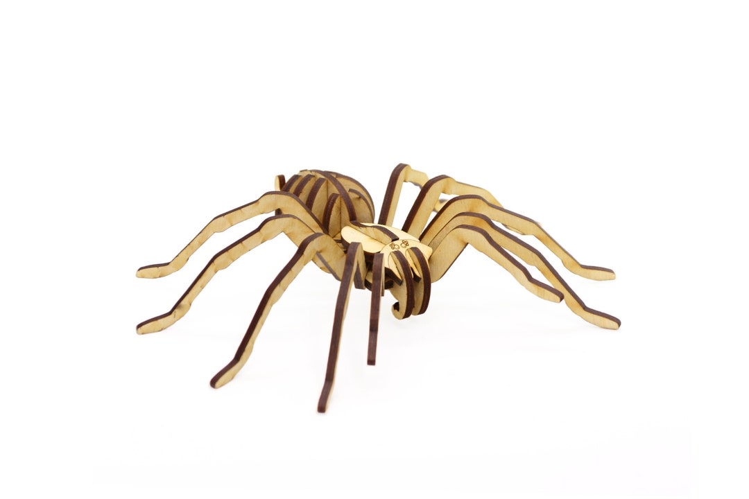 Tarantula - 3D Wood Puzzle Kit - Etsy