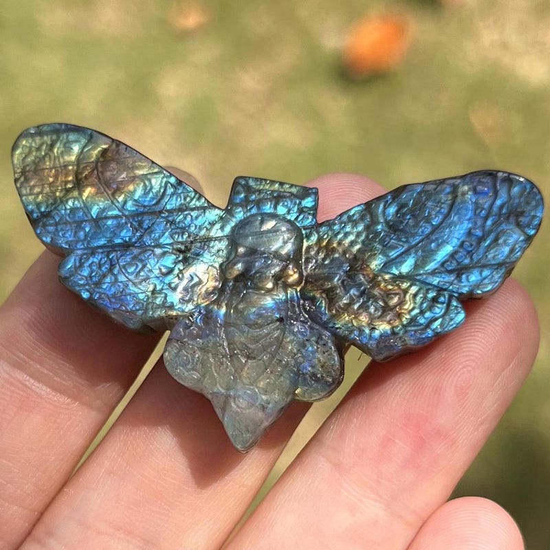 Moth Sculpture - Etsy