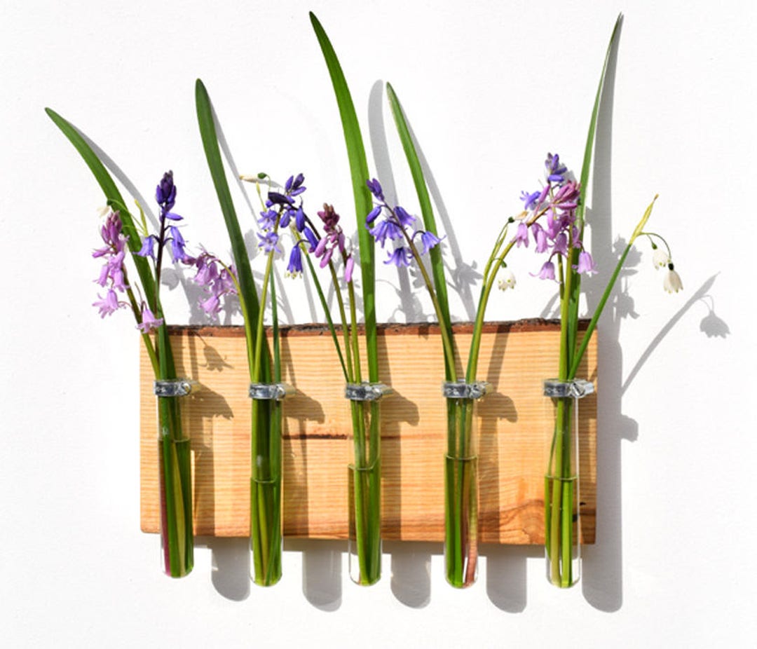 Contemporary 'TT' Wall Mounted Vase - Beautiful Pieces of Solid Wood ...