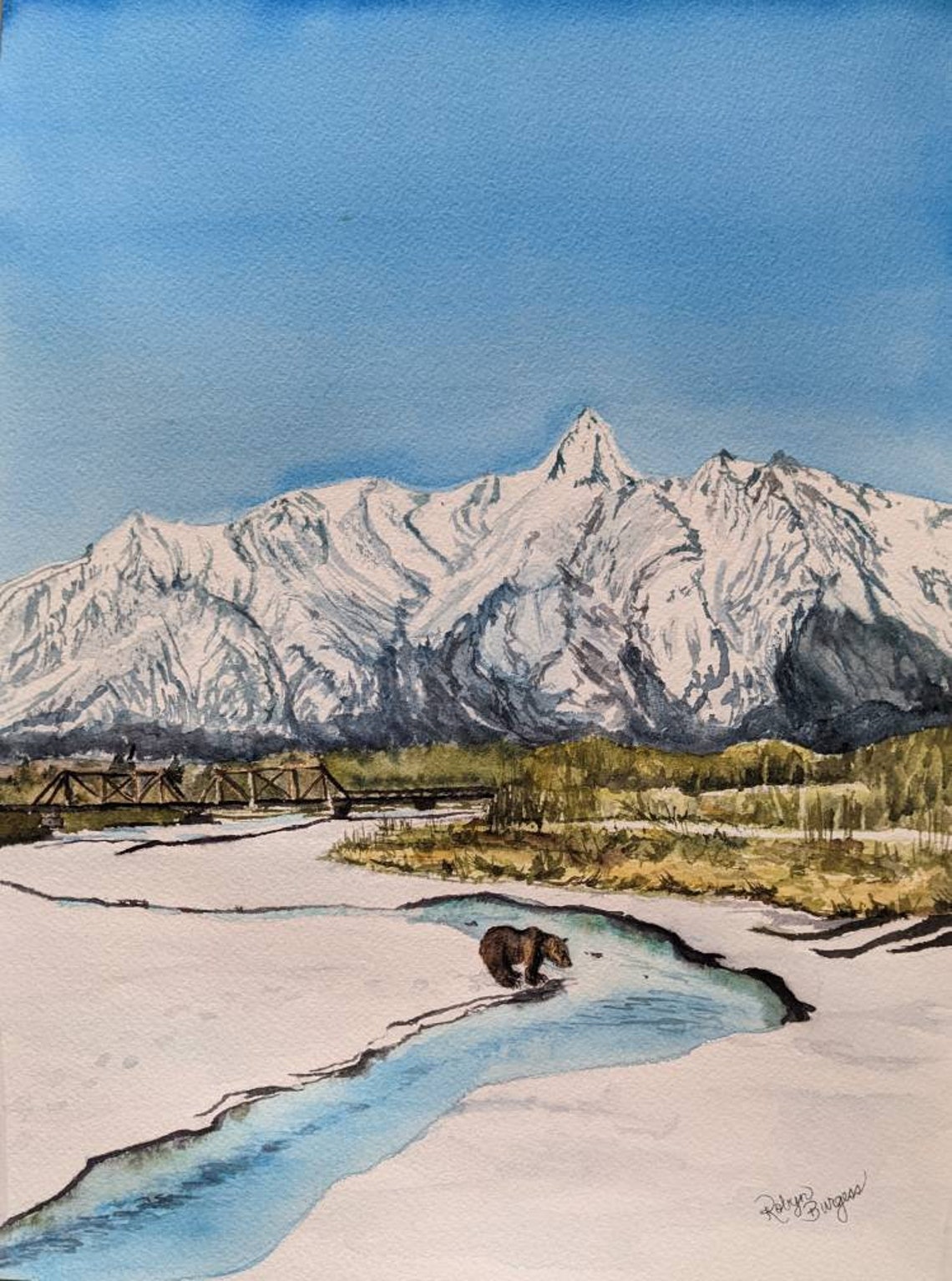 Grizzly Bear on the Knik River and Above Pioneer Peak Mountains, Snow ...