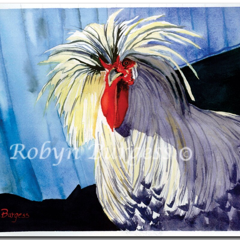 Polish Chicken - Etsy