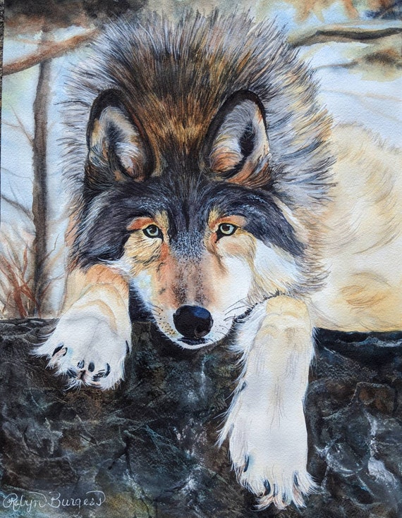 Timber Wolf Watercolor Painting Timber Wolf of Alaska Wolf | Etsy