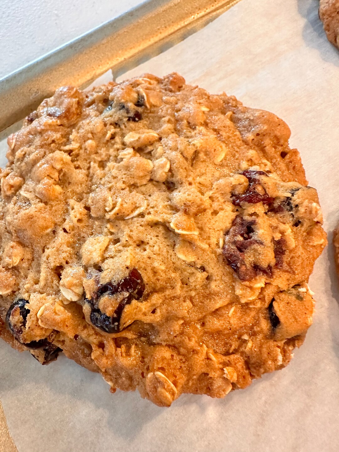 The Best Oatmeal Cookies W/golden Raisins & Cranberries - Etsy