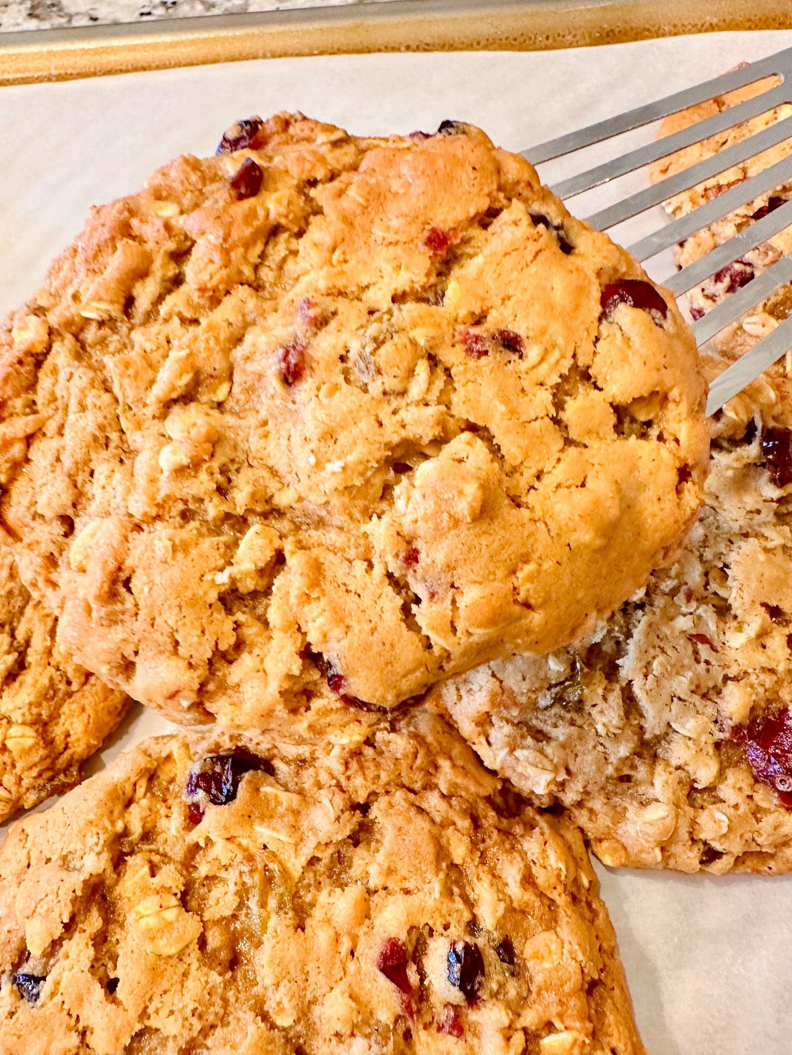 The Best Oatmeal Cookies W/golden Raisins & Cranberries - Etsy