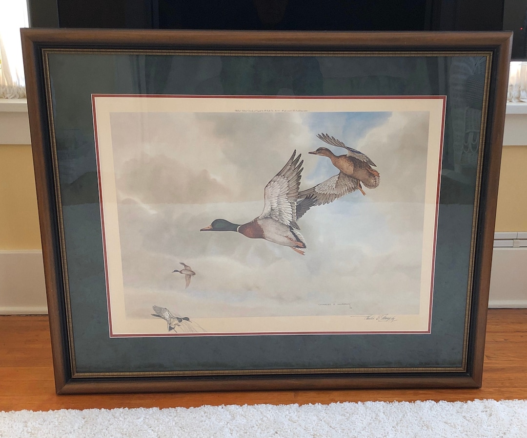 Mallards by Chas E. Murphy Duck Print Artist Proof W/ Artist Remark and ...