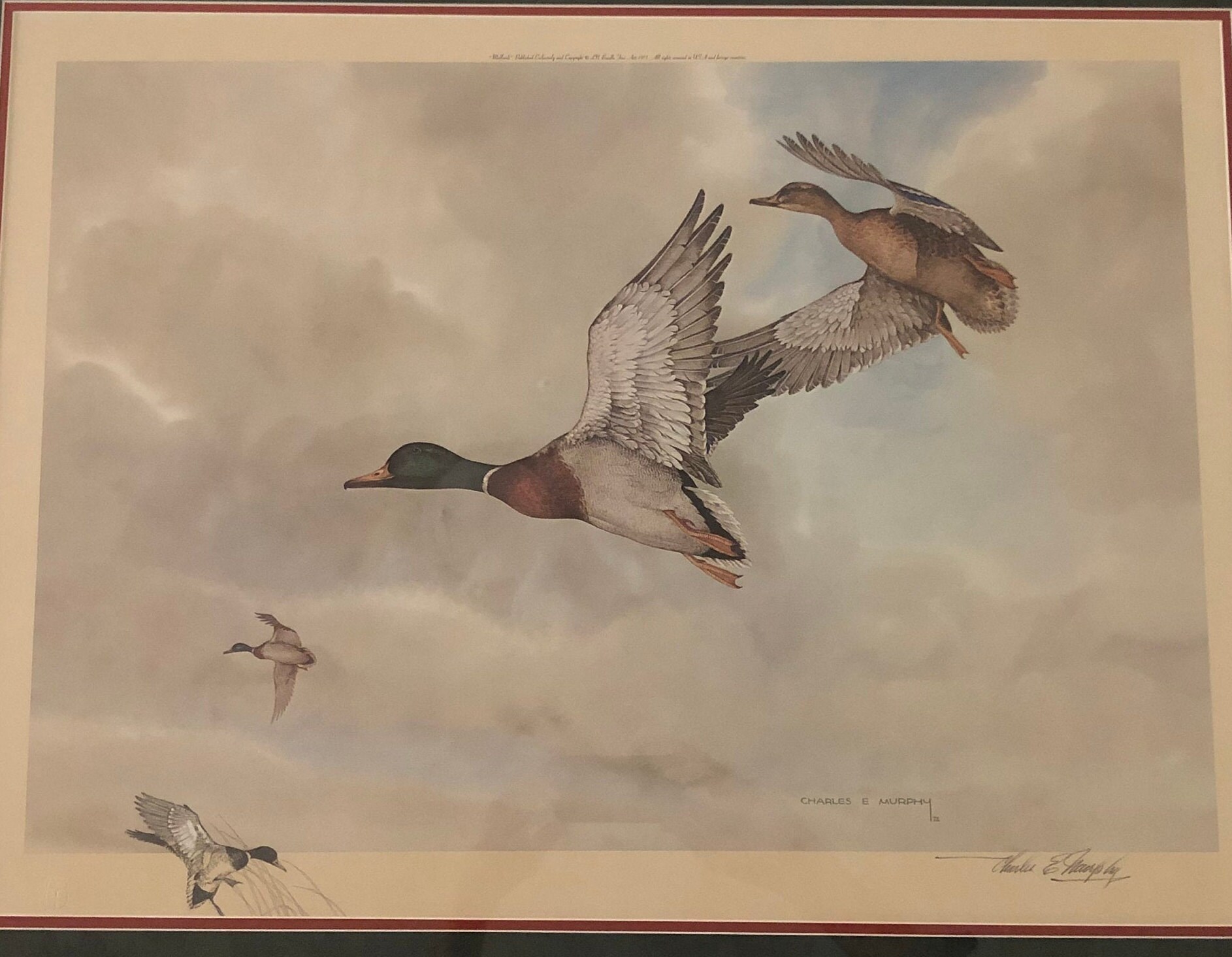 Mallards by Chas E. Murphy Duck Print Artist Proof w/ Artist Remark and ...