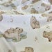 Capybara Cotton Fabric by the Yard, Premium Cotton Fabric, Digital ...