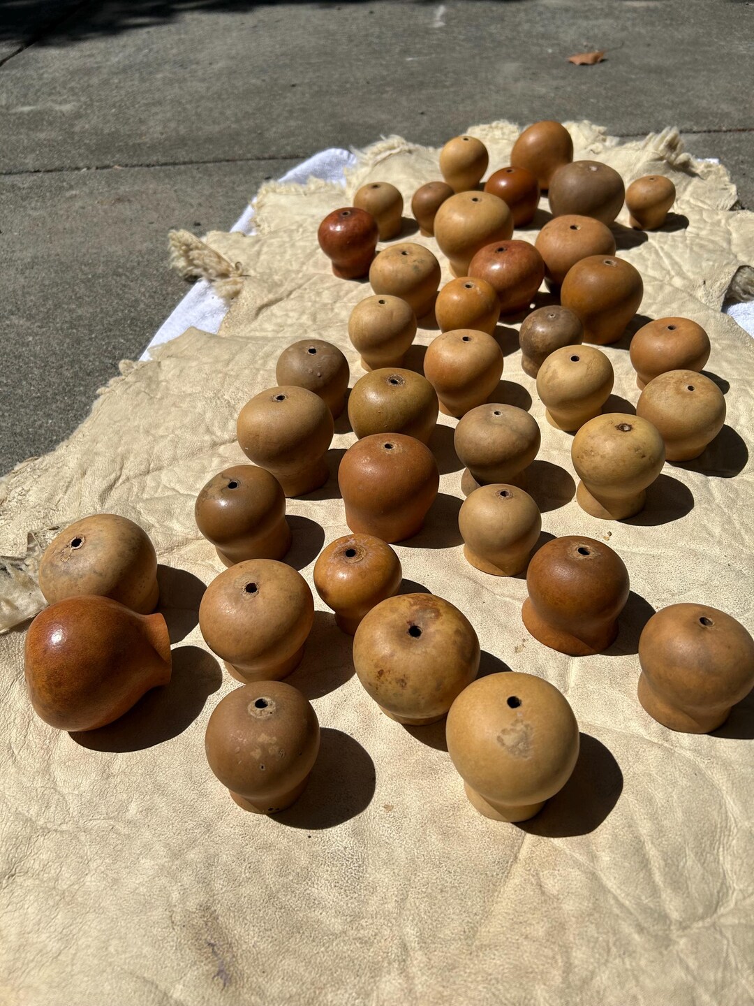 Gourd Shells for Rattles - Etsy