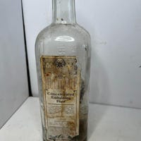 Embalming Fluid Pint Glass - Etsy