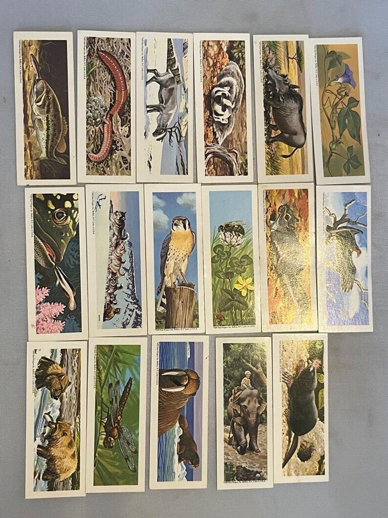 1970 Lot 17 Vintage Nabisco Wildlife Animals Heroes Cards Advertising ...