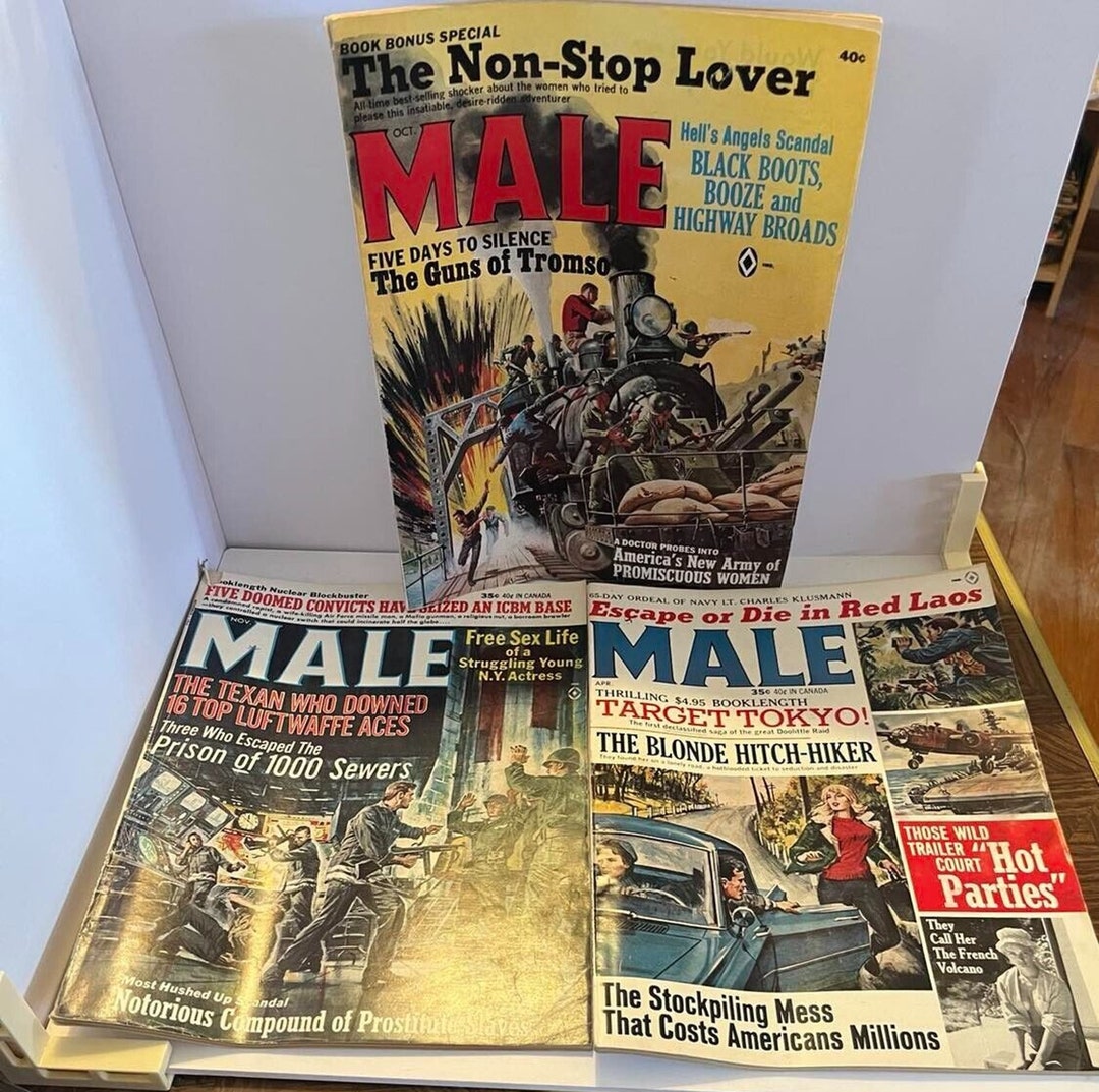 3 Issues Male Magazine Lurid Pulp for Men 1965/64 - Etsy