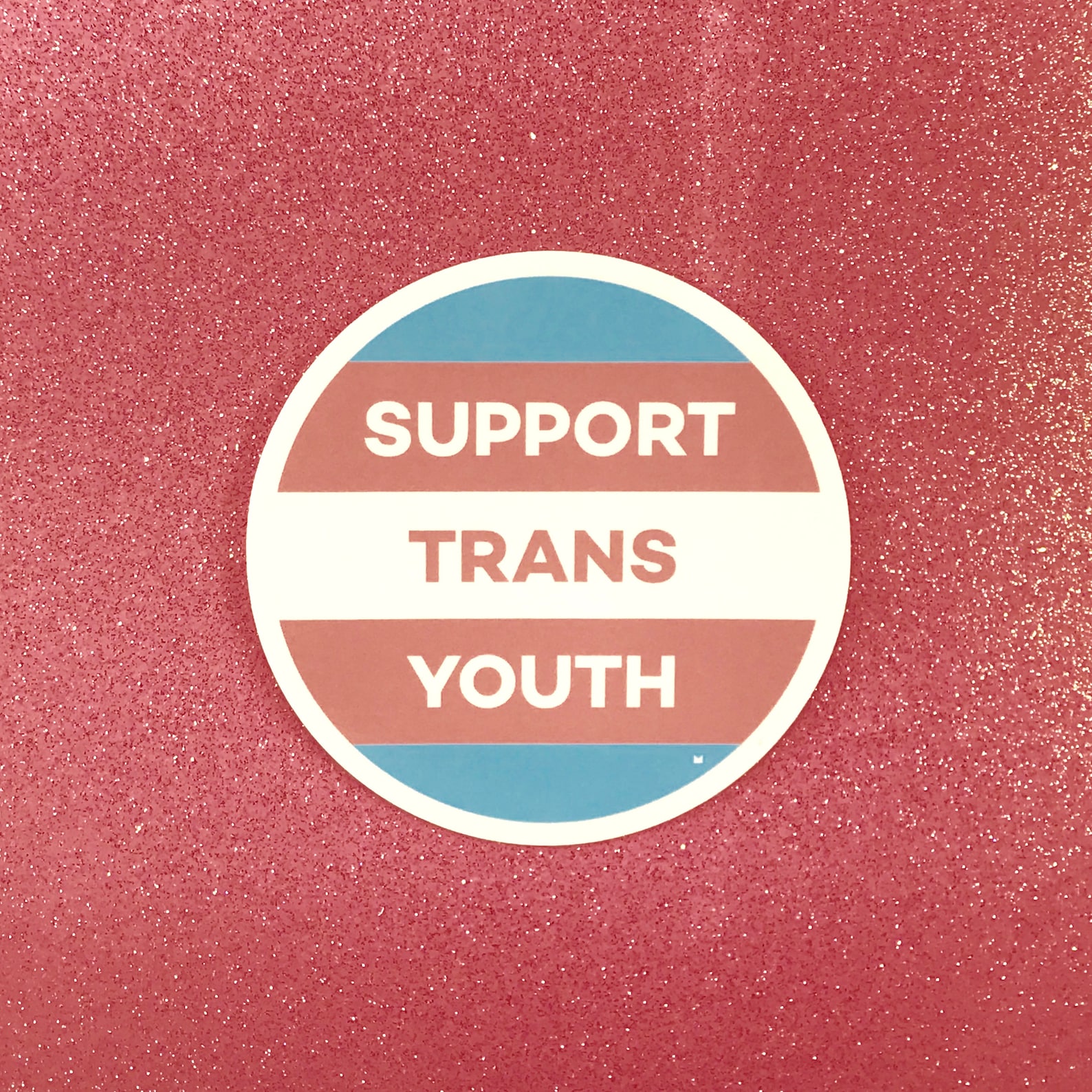 Support Trans Youth Sticker - *portion of Proceeds Go to Charity ...
