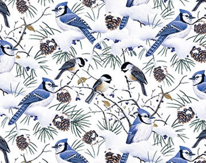 Northcott Winter Jay (flannel) - Etsy