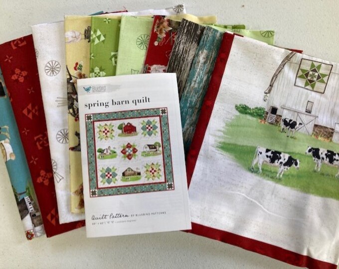 Spring Barn Quilts by Riley Blake Quilt Kit Including Pattern. Makes ...