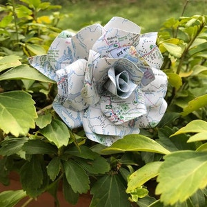 Map Roses With Stems, Map Flowers, Travel Theme Decoration, Traveler ...