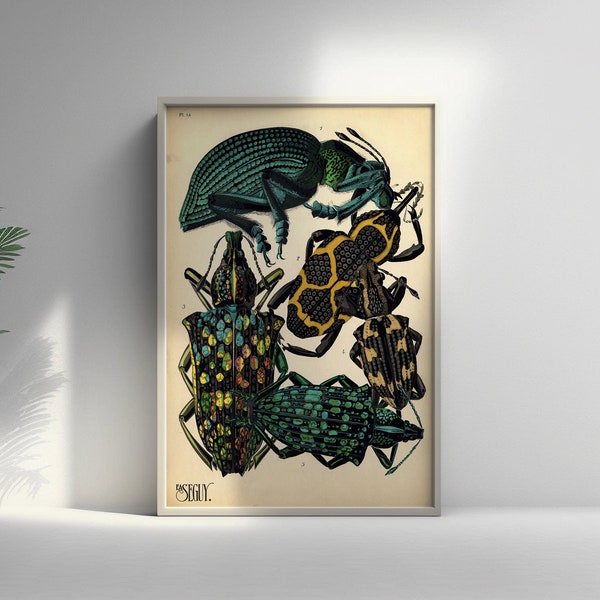 Beetle Art - Etsy