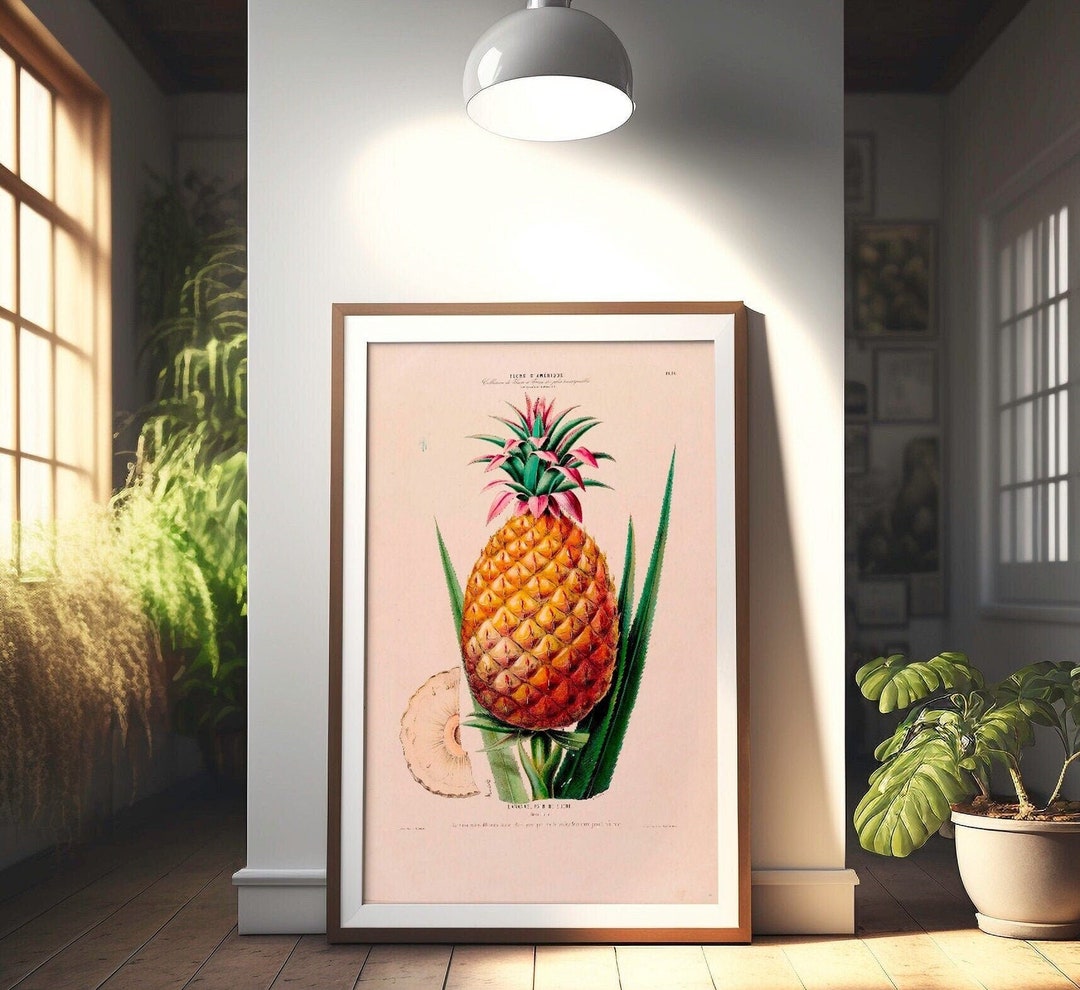 Vintage Ananas Print Botanical Wall Art Fruit Poster Ananas Poster ...