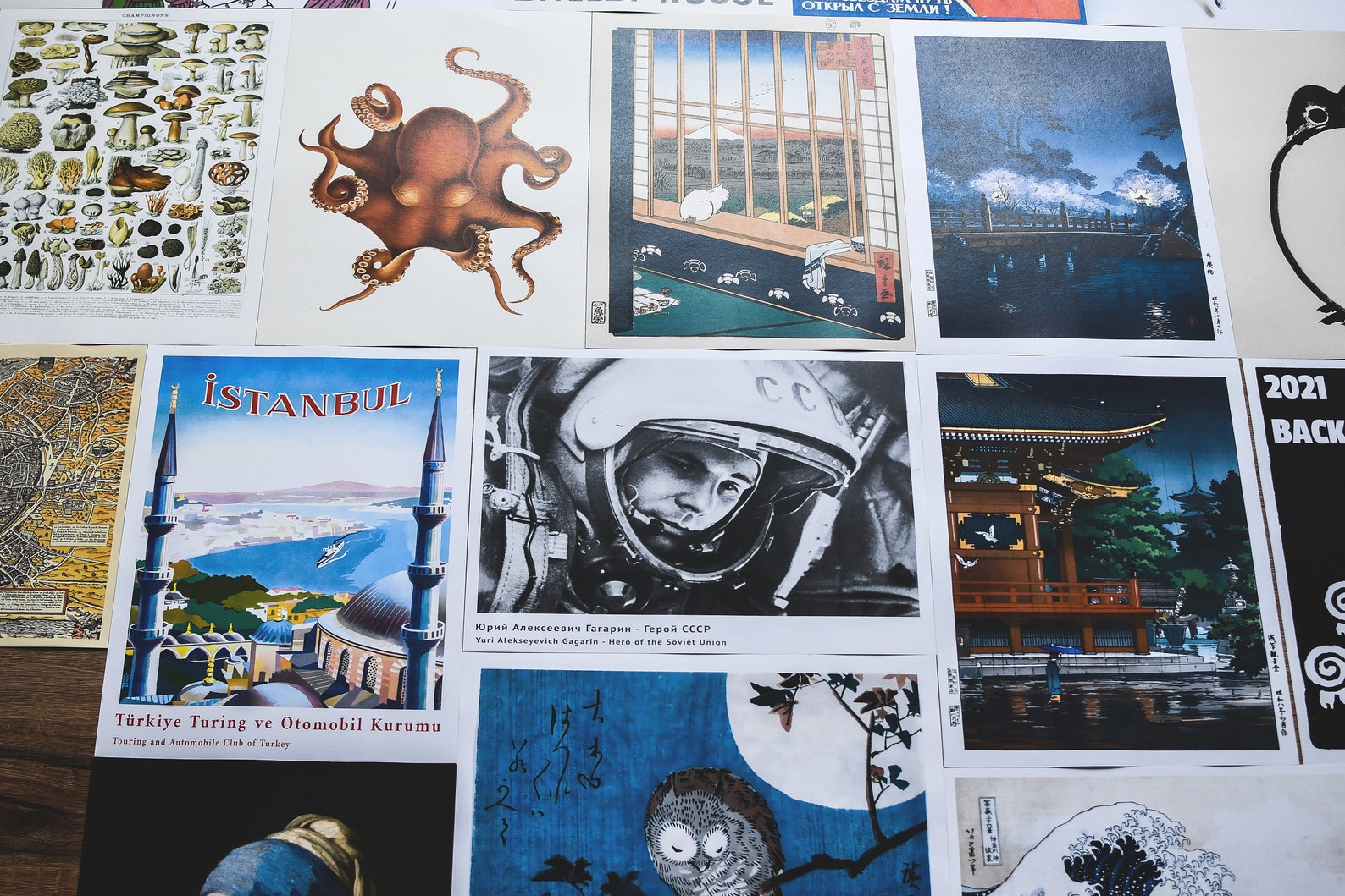 Vintage Science Bird Print 1909 Adolphe Millot Poster Home | Etsy