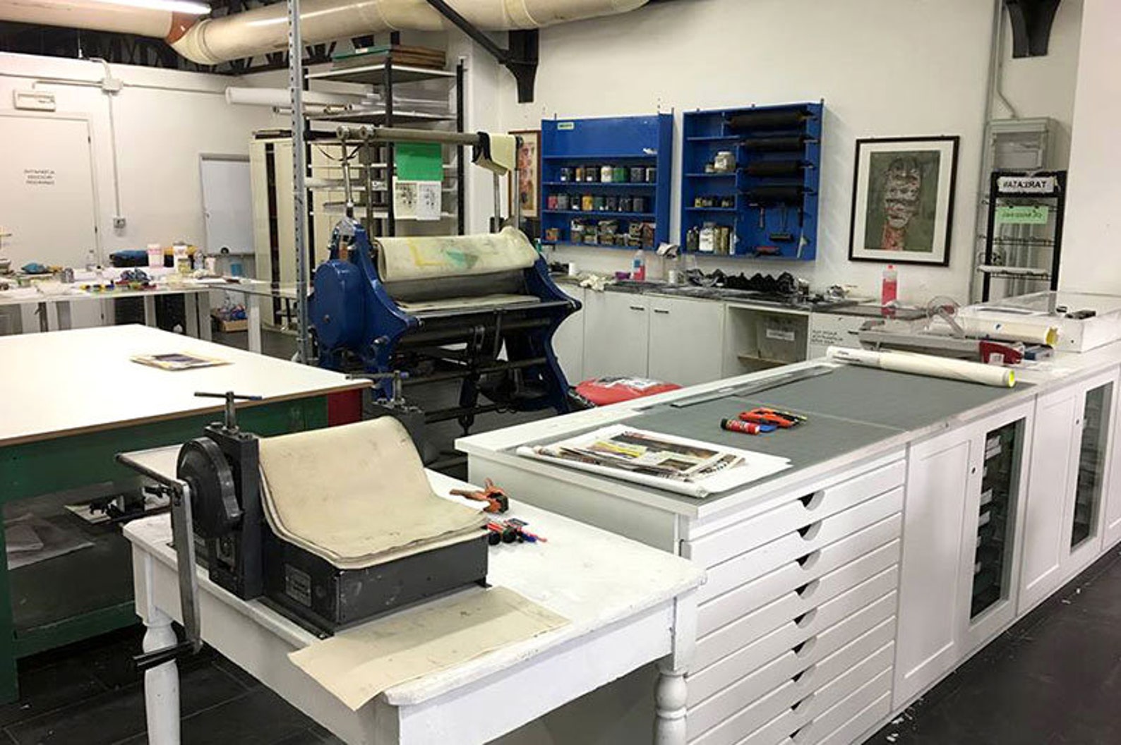 Vintage Science Bird Print 1909 Adolphe Millot Poster Home | Etsy