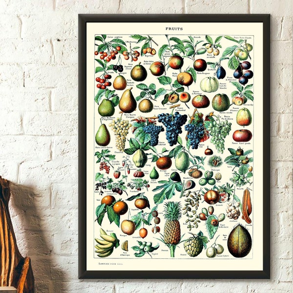 Vintage Fruit Print - Etsy