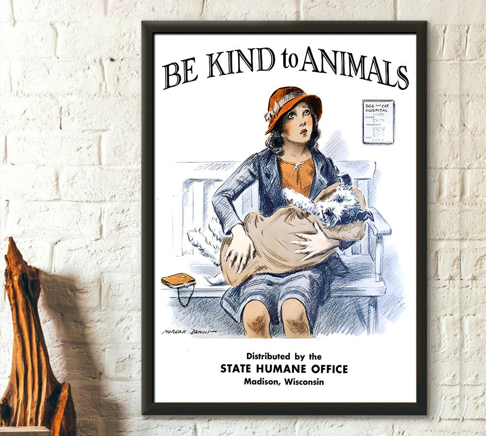 Kindness To Animals Drawings