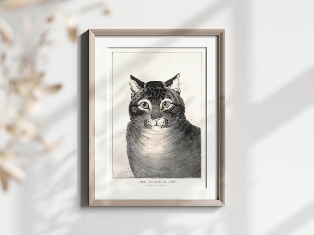 Vintage Cat Art Print, the Favorite Cat Illustration, Antique Animal ...