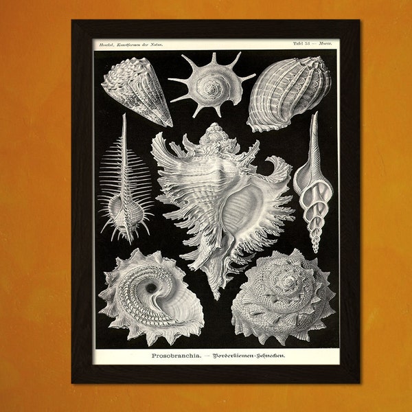 Scientific Poster - Etsy