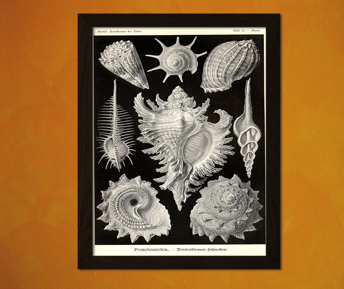 Vintage Science Design