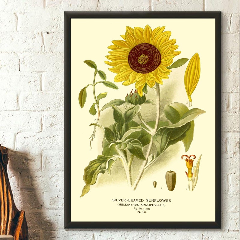Sunflower Print - Etsy