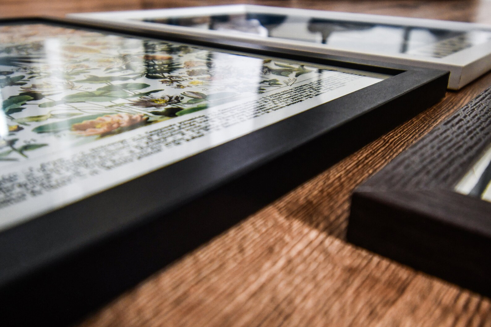 Vintage Science Bird Print 1909 Adolphe Millot Poster Home | Etsy