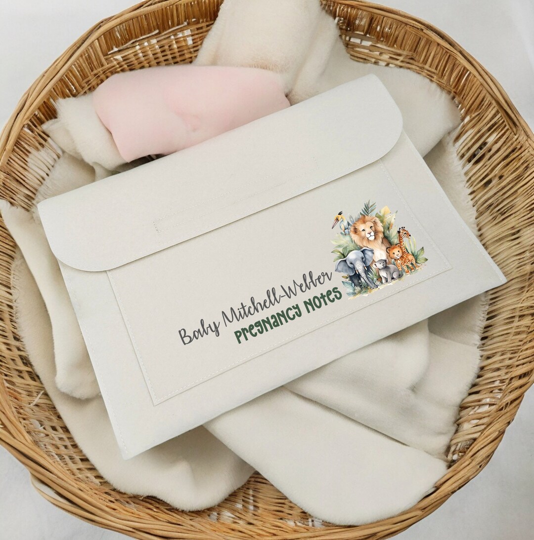 Personalised Pregnancy/maternity Notes Folder | Document Folder New Mum ...