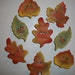 Ceramic Fall Leaf Refrigerator Magnets,set of 8 Halloween,fall ...