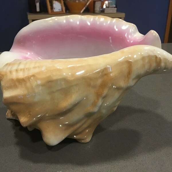 Conch Shell Planter - Etsy
