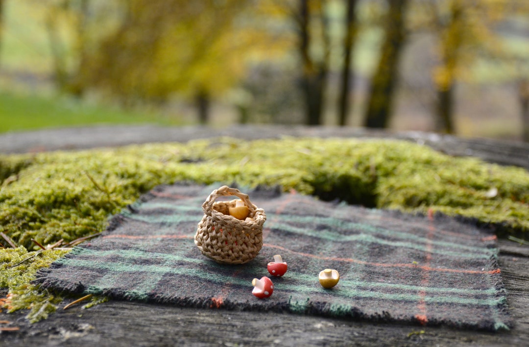 Miniature Picnic Rug and Cushions, Tartan Woollen Blanket doll's ...