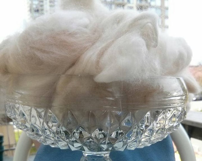 English Angora Fiber, Organic, Natural Wool, Fawn Color, Ethical ...