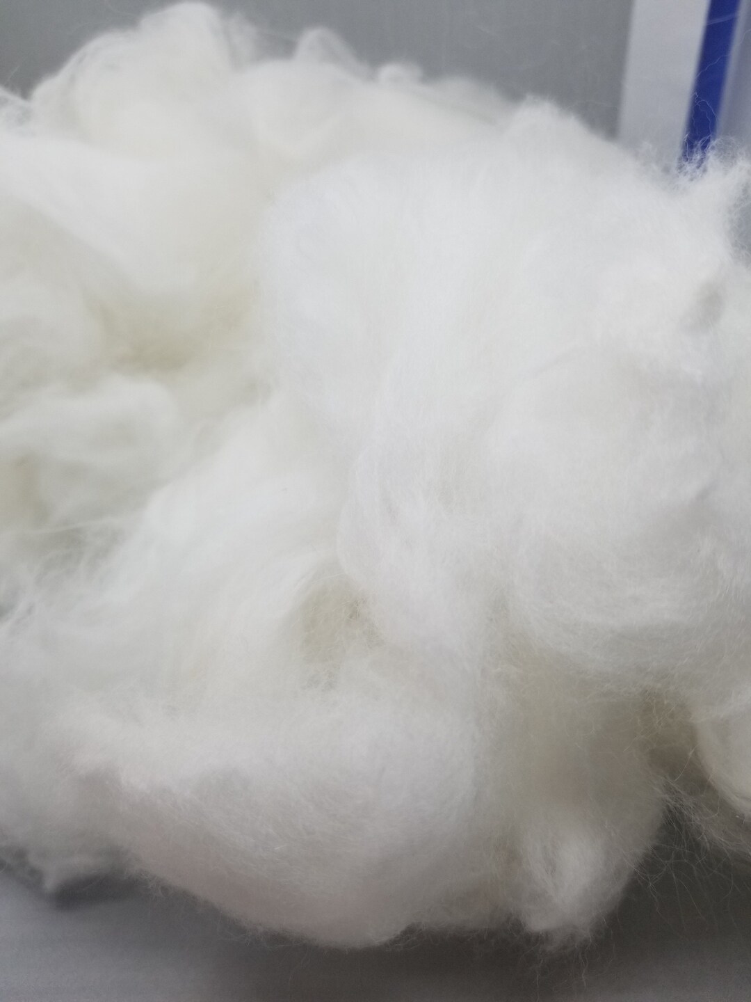 Ethical German Angora Rabbit Fiber - 1 Ounce, Pure White, Hand-groomed ...