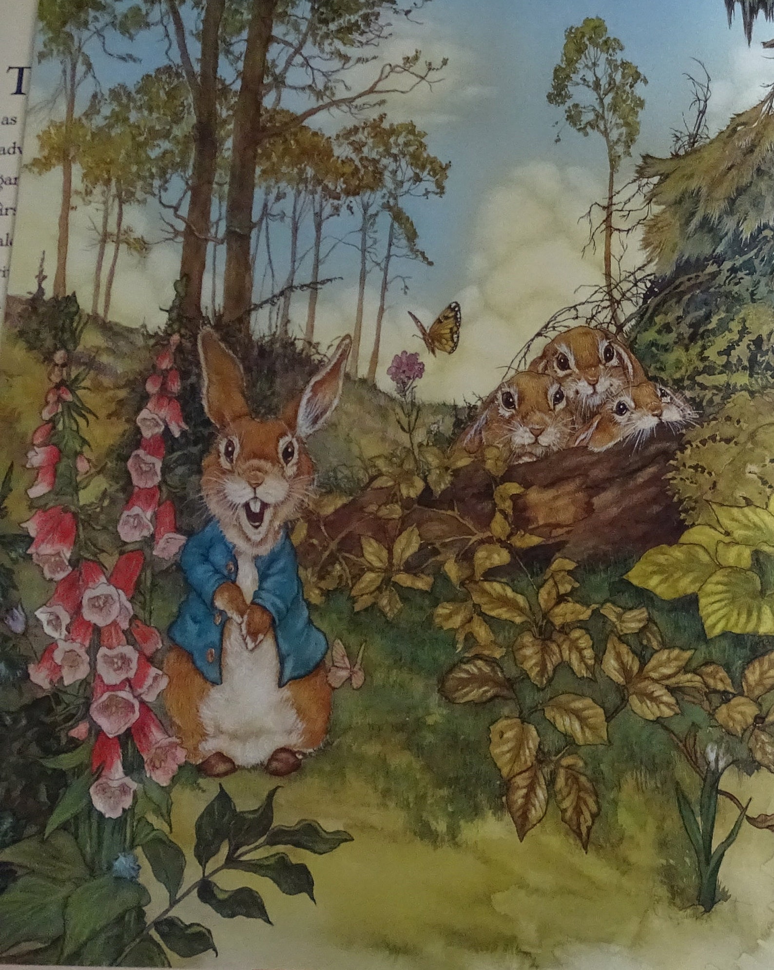 Vintage Children's Storybook Peter Rabbit Tale Large | Etsy