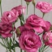 Arena III Red Pelleted Lisianthus Seeds (eustoma Grandiflorum) Packet ...