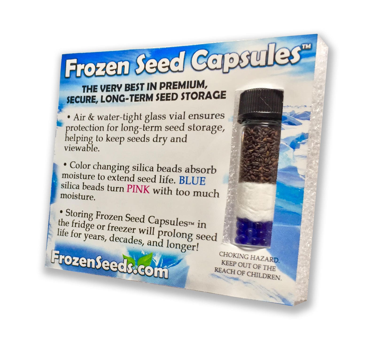 Greek Catnip Seeds (nepeta Parnassica) Packet of 50 Seeds - Palm Beach ...