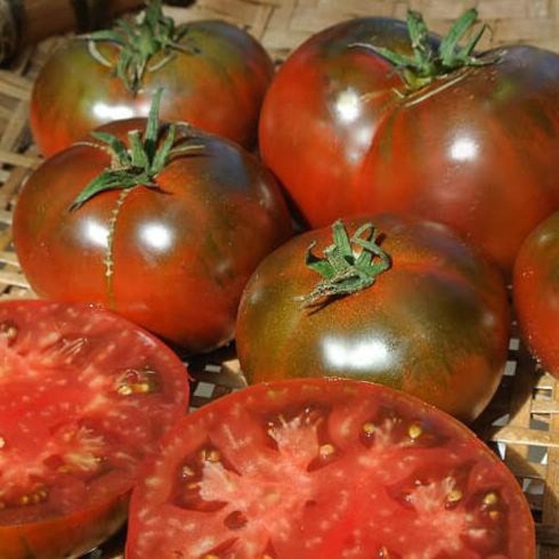 Paul Robeson Tomato Seeds Packet of 20 Seeds - Palm Beach Seed Company ...