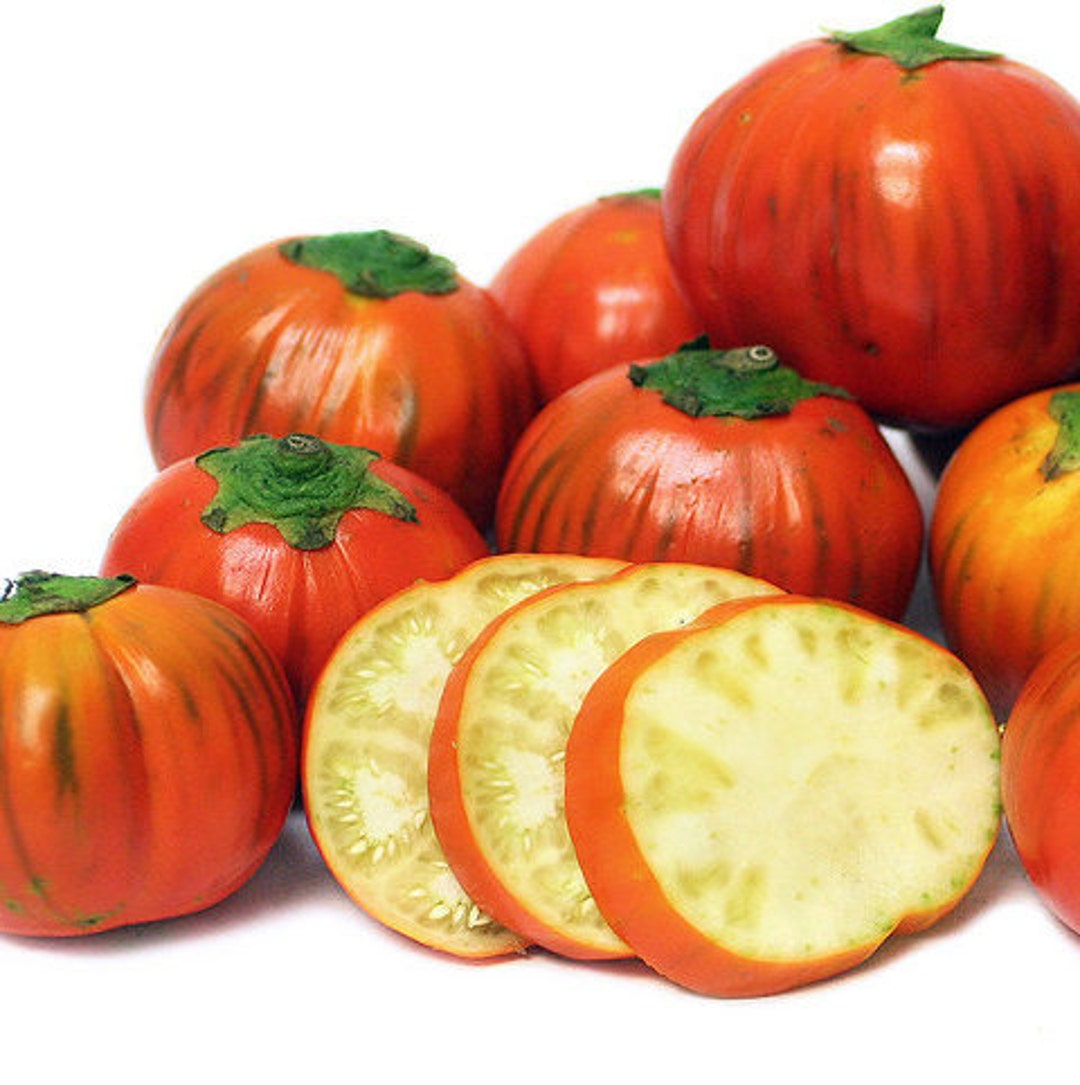 Korean Red Eggplant Seeds - Packet of 10 seeds - Palm Beach Seed ...
