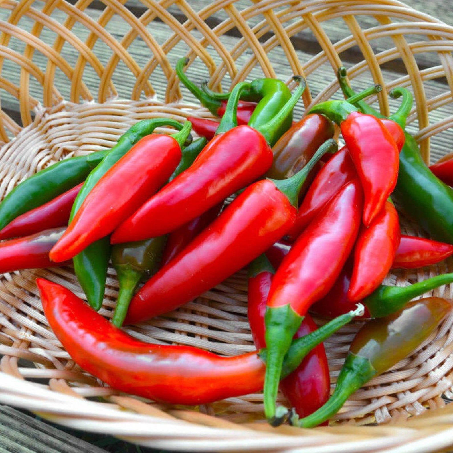 African Bird Pepper Seeds capsicum Frutescens 20 Seeds in - Etsy