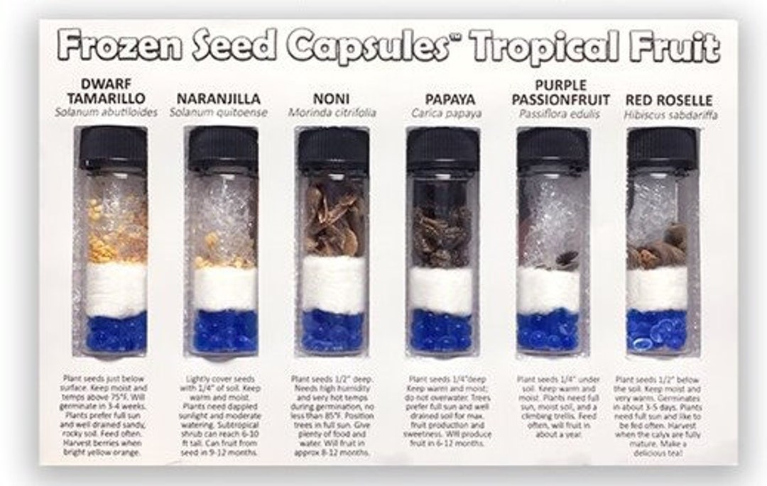 Frozen Seed Capsules 6 Rare Tropical Variety Pack - Etsy