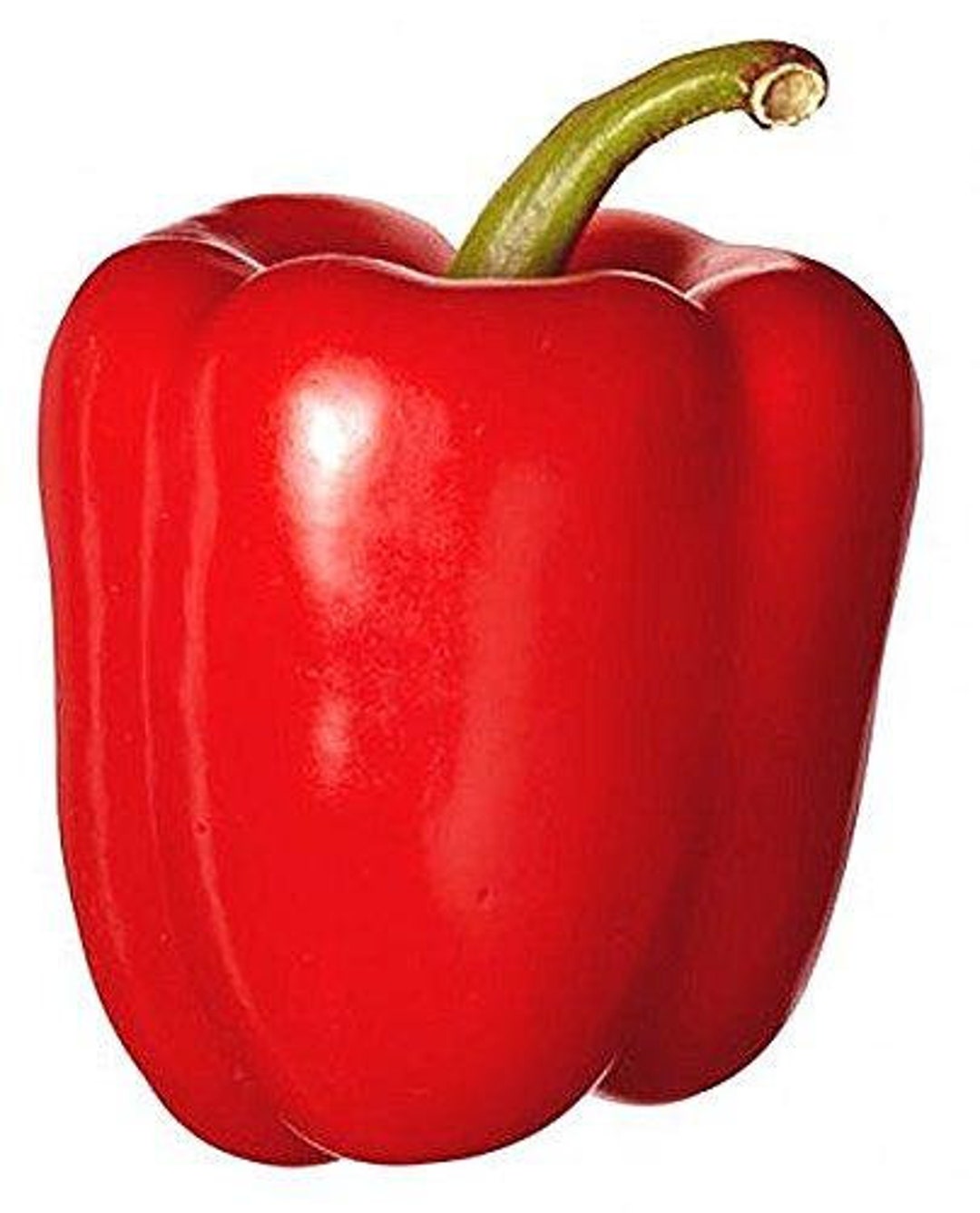 Big Red Bell Pepper Seeds - Packet of 10 Seeds - Palm Beach Seed ...